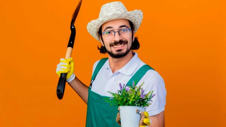 Cómo usar correctamente una hoz en la agricultura y jardinería